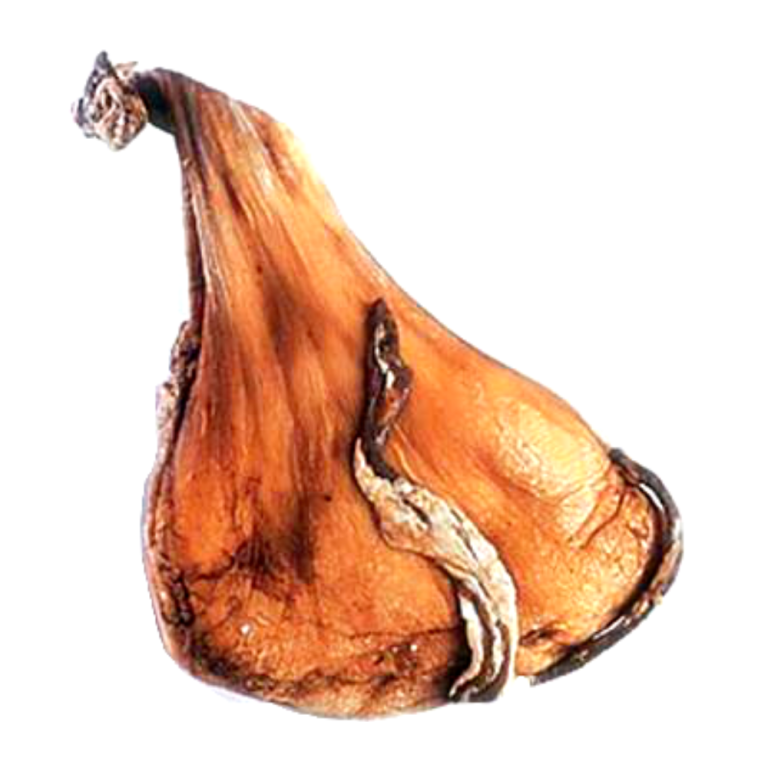 Caglio di capretto - callu 'e crabittu 300 g - Sardissimo